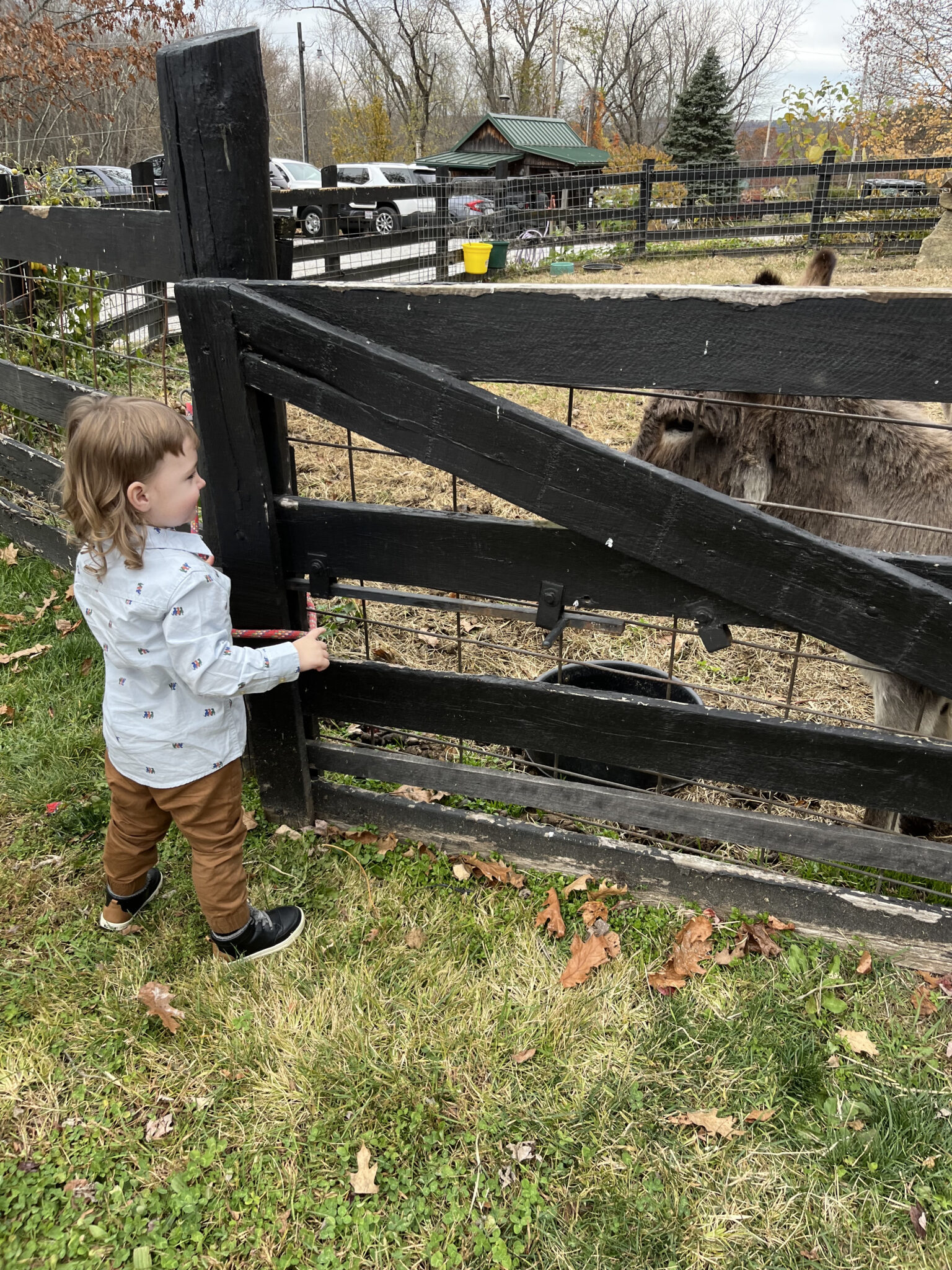 Early Intervention Helps Willy Express Himself - Lake County Board of ...